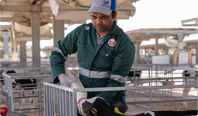 About Baladna | Our Story, Mission & Dairy Leadership