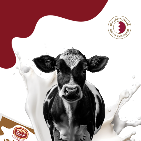 Baladna Nabulsi Cheese with Authentic Flavor