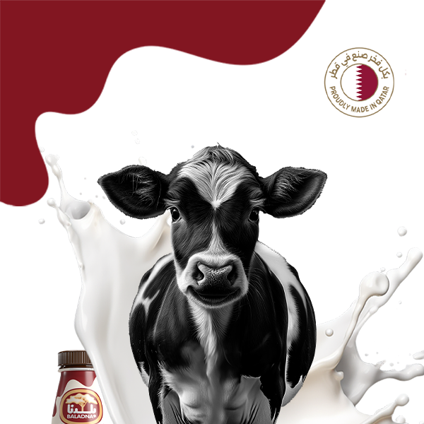 Baladna Fresh Milk: Enjoy the Taste of Quality in Every Sip | Qatar