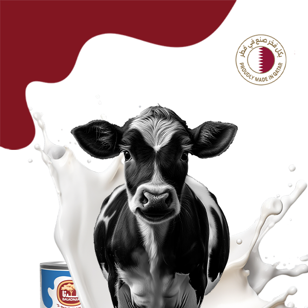 Baladna Full Cream Evaporated Milk for Rich Recipes