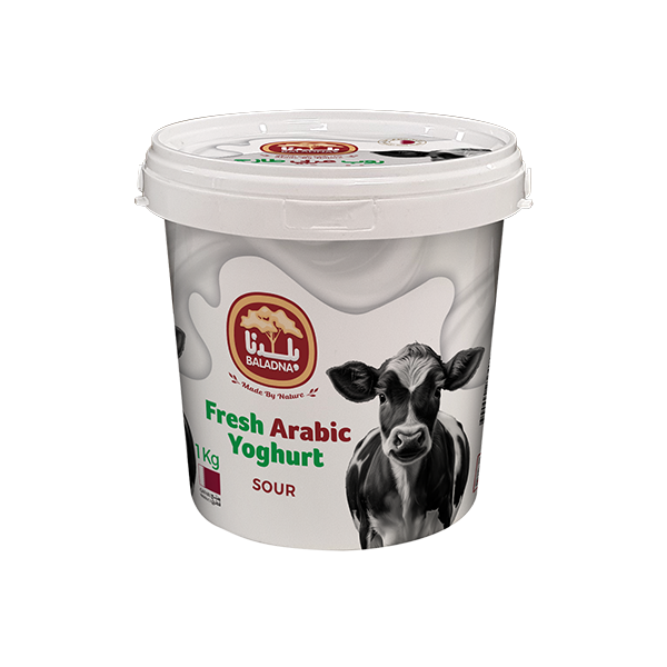 Arabic Yoghurt Authentic Traditional Taste