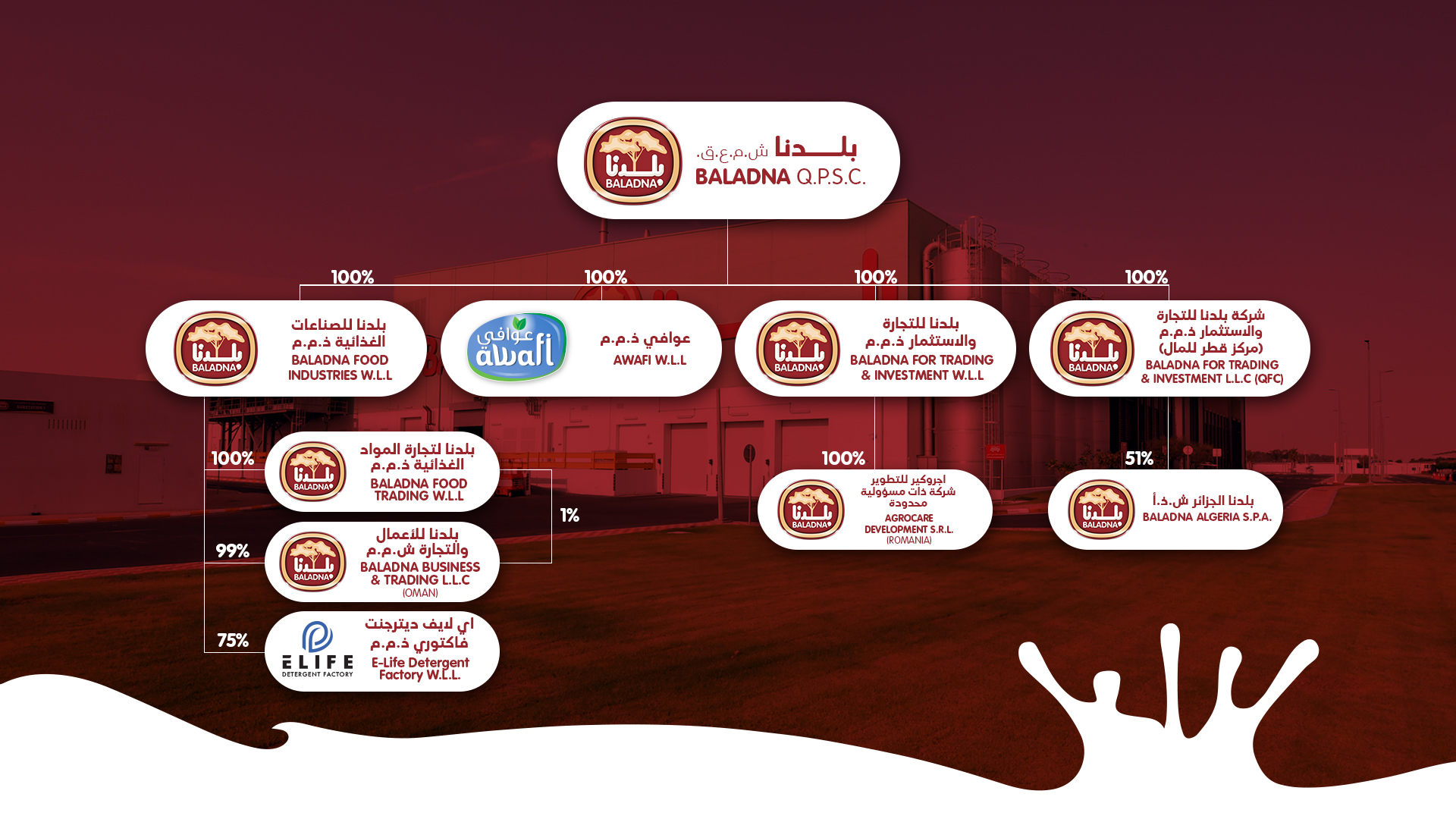 Corporate Governance | Baladna